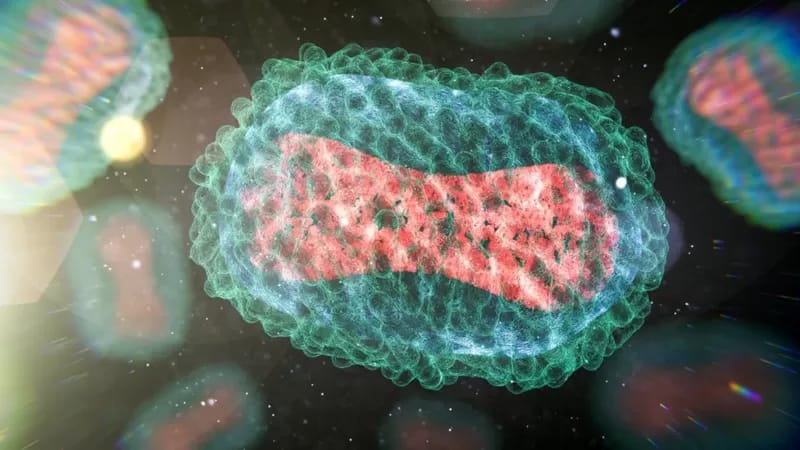 Cientistas preocupados com descoberta de nova cepa mutante da varíola ...